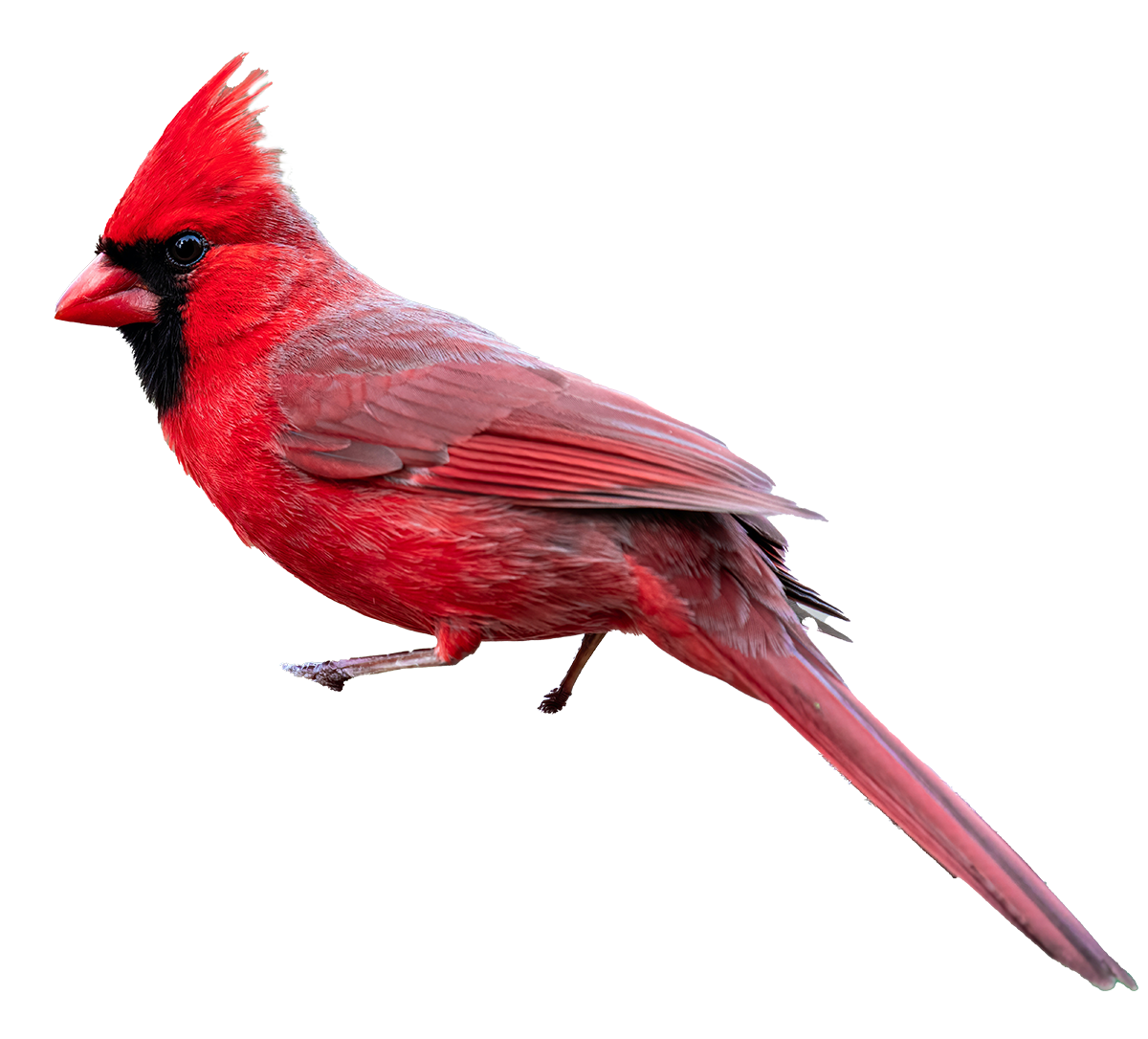 Suite A 1067 ft² - Two Bedroom Apartment - Jack’s Way Edge In Mount Forest